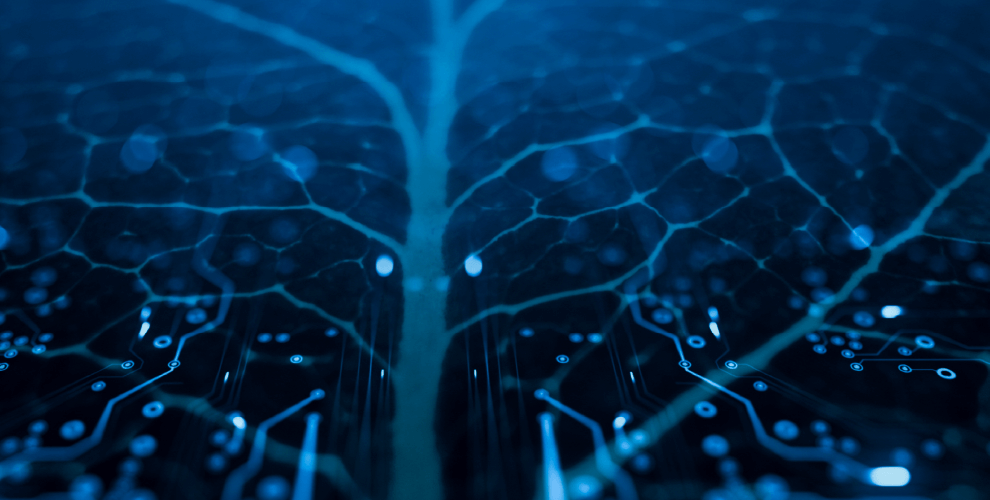 Fiber ONT Solutions | Global | Zyxel Service Providers