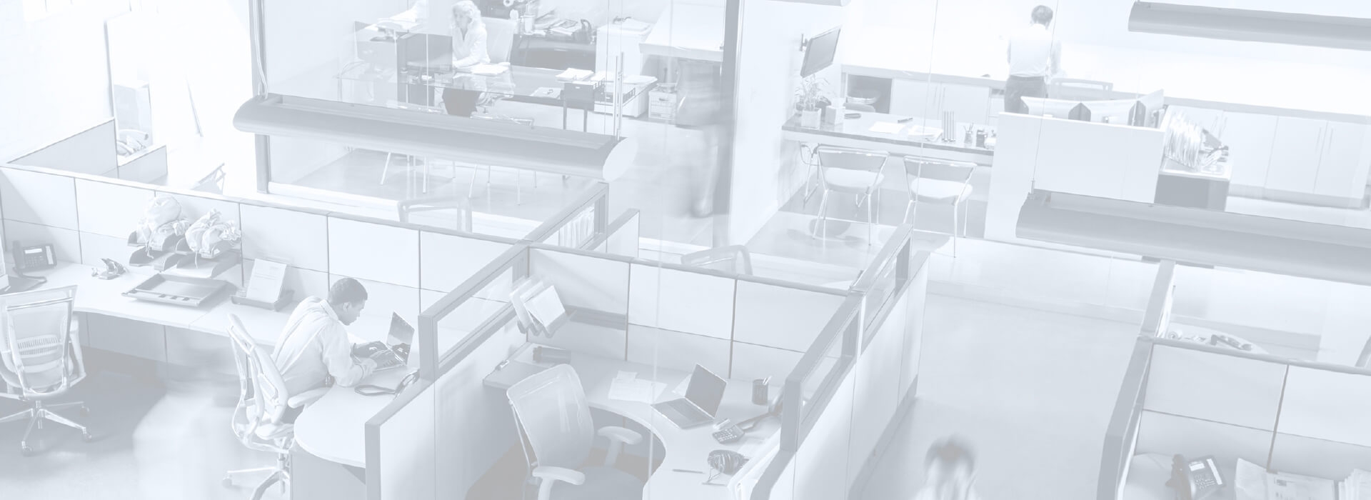 Inclusive workplace | APAC | Zyxel Service Providers