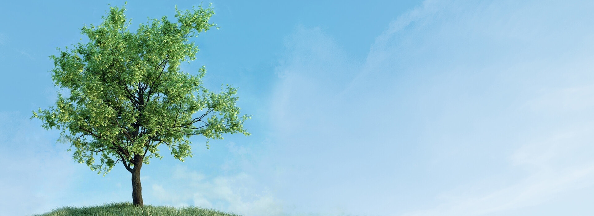 Sustainability | Global | Zyxel Service Providers